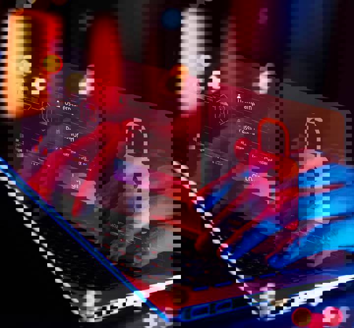 Transform: digital transformation consultancy